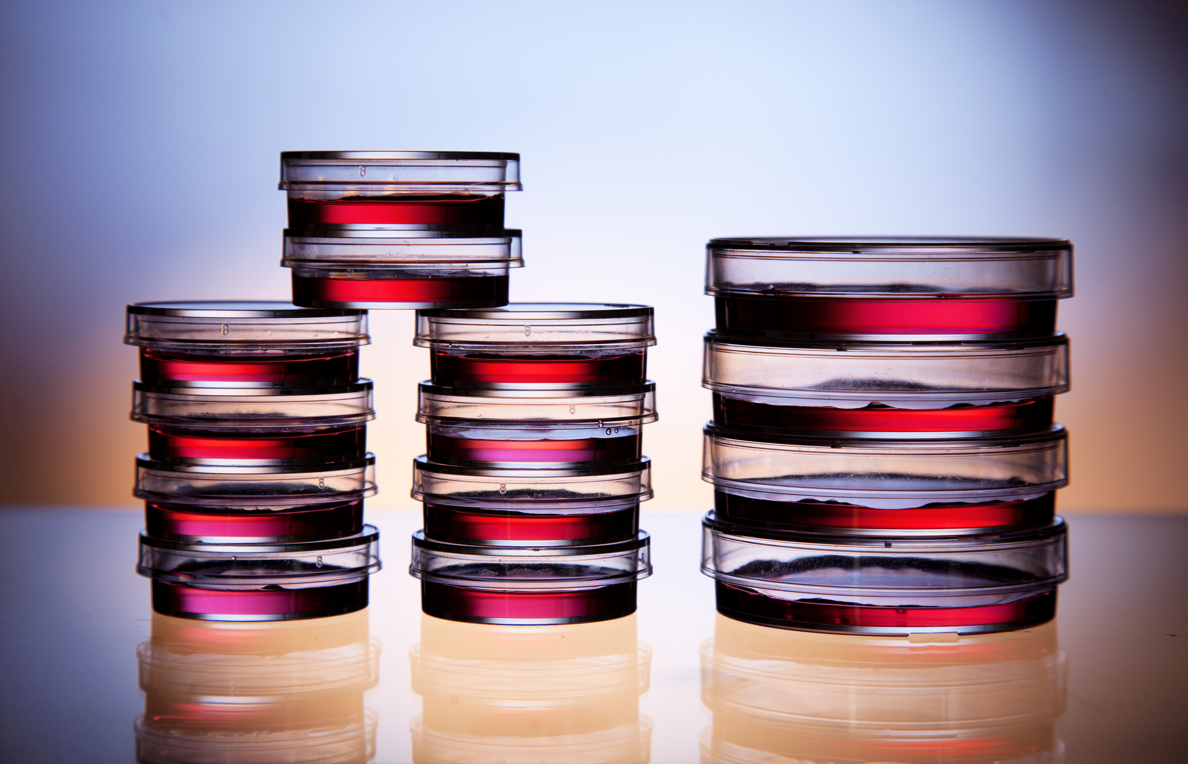 Webinar: "Method verification in food microbiology" - Upscience